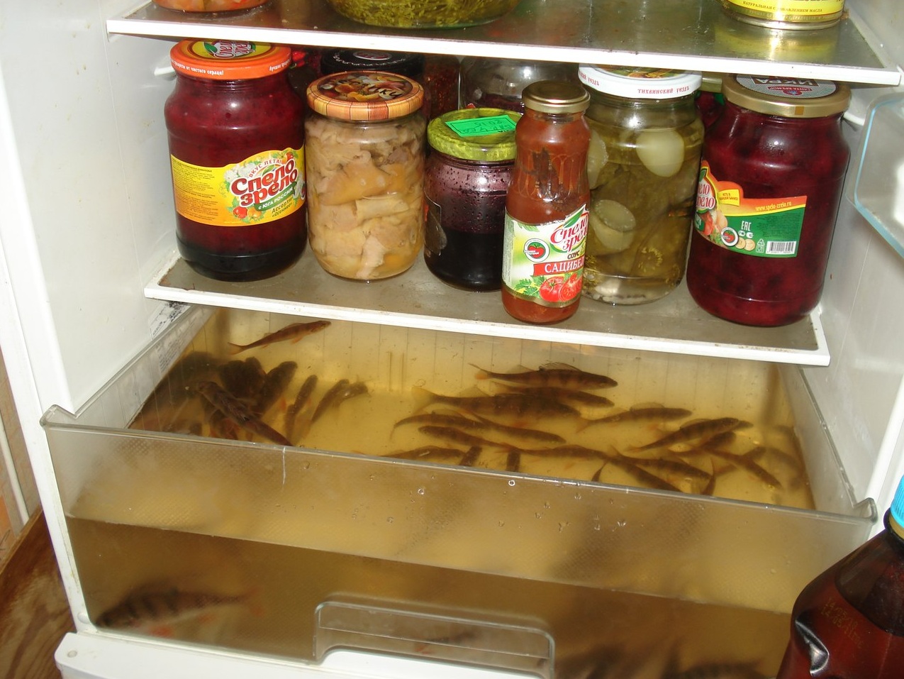 russian refrigerator - MyConfinedSpace