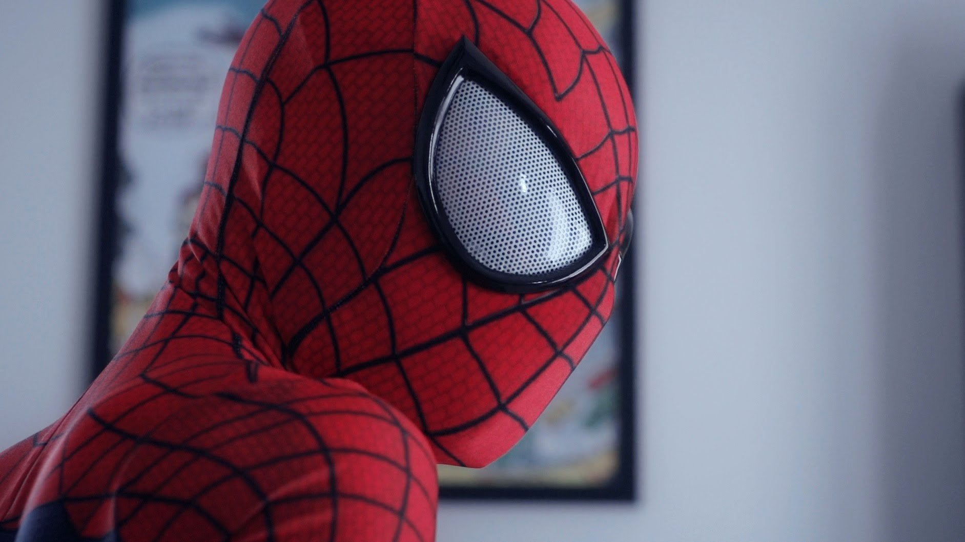 spider face close up - MyConfinedSpace