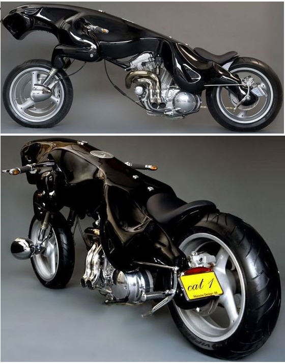 cat bike - MyConfinedSpace