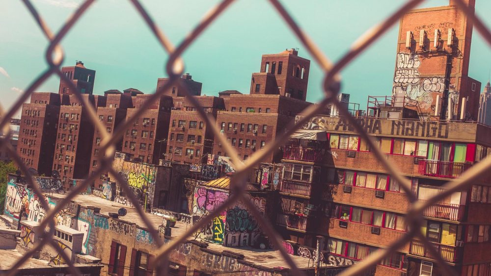 Alpha Mango - MyConfinedSpace MyConfinedSpace