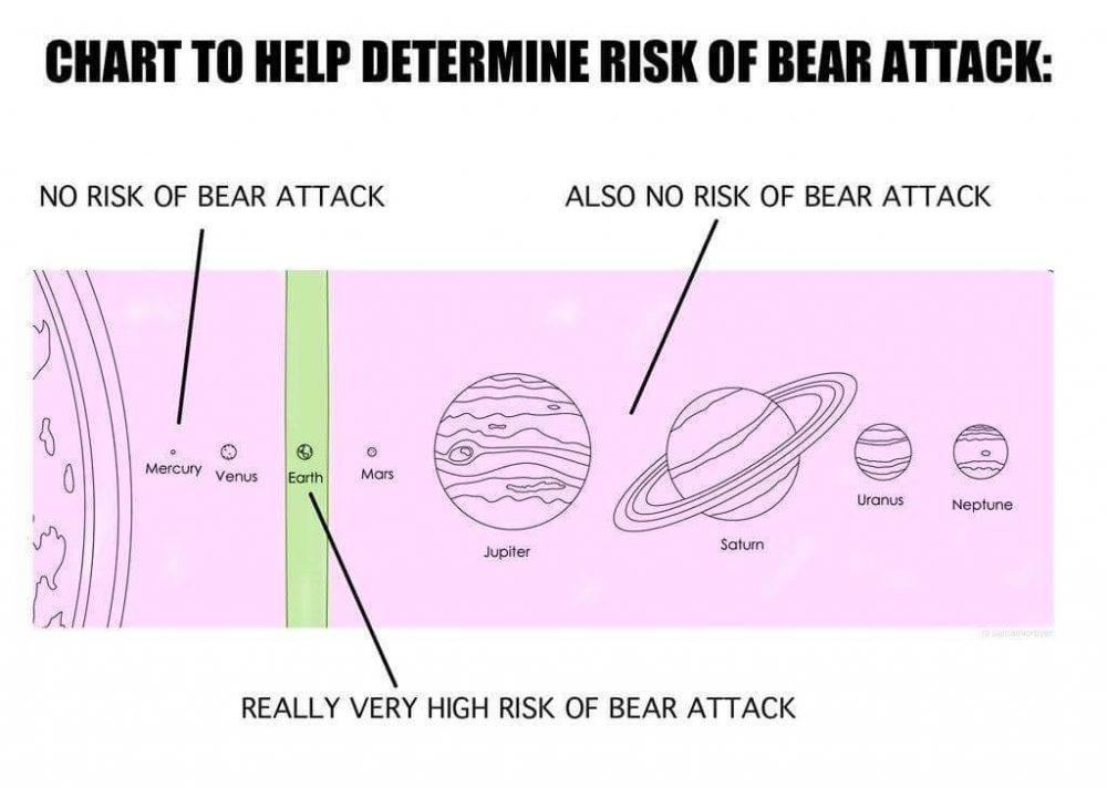 Chart to help determine risk of bear attack - MyConfinedSpace