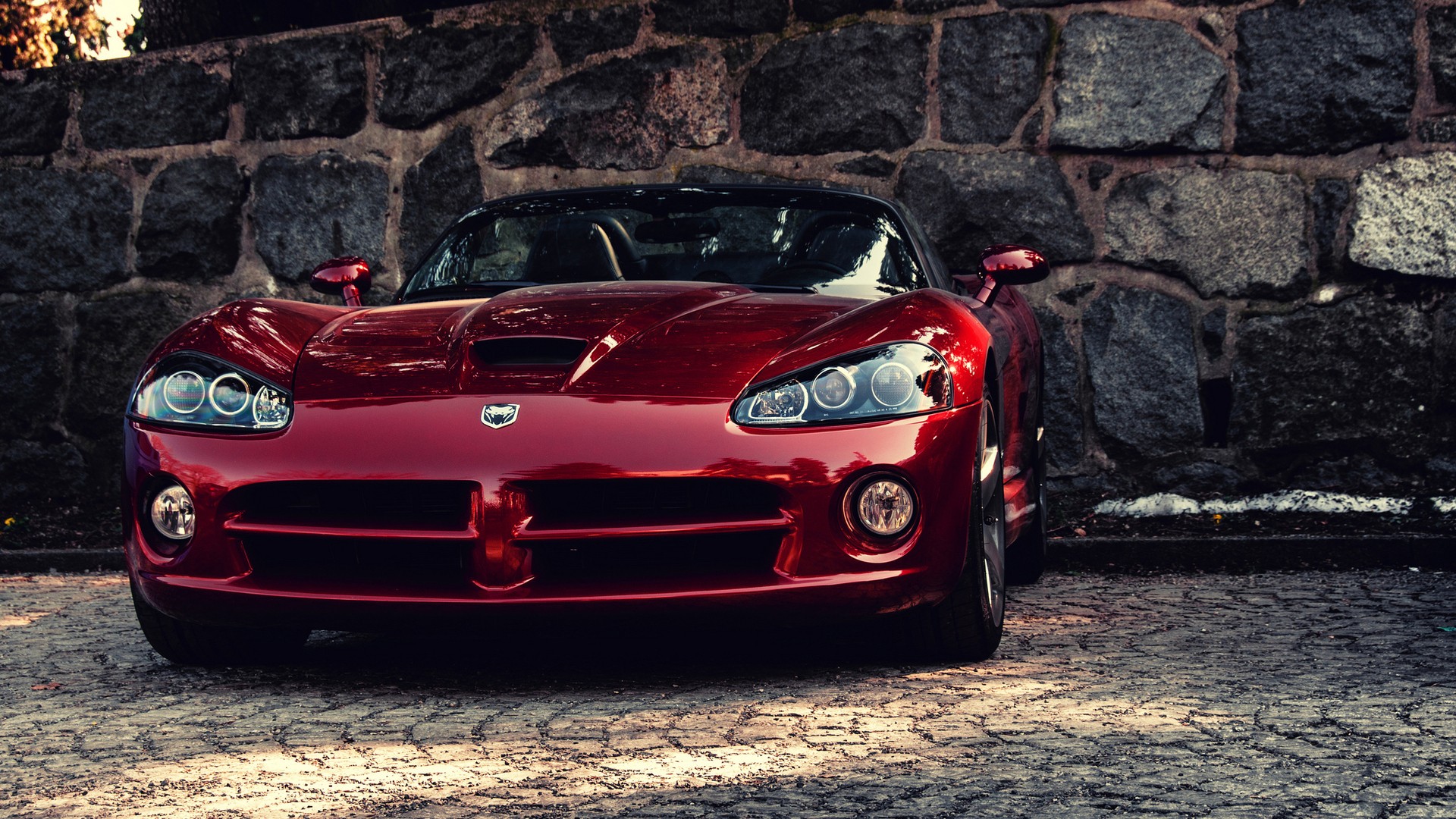 Candy Red Viper - MyConfinedSpace