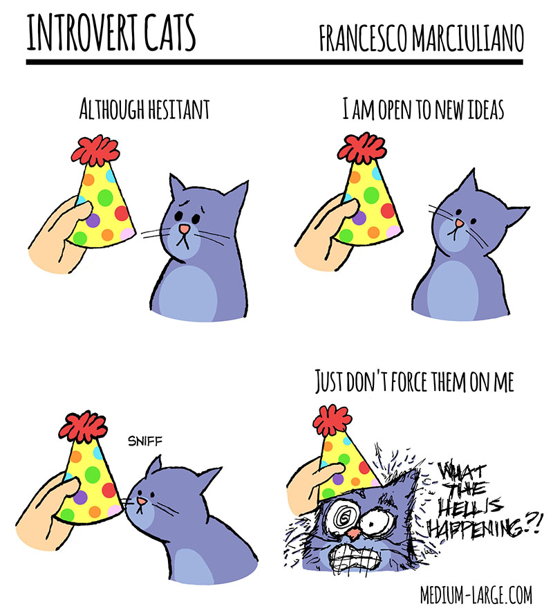 Introvert Cats - MyConfinedSpace
