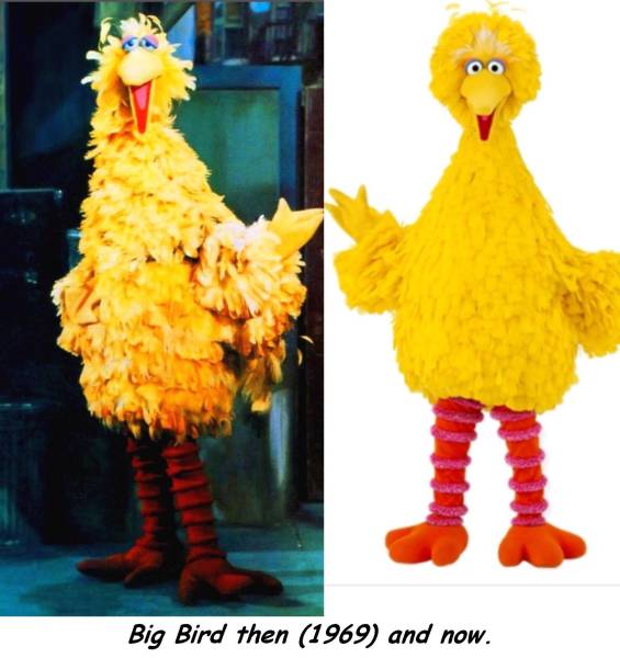 Big Bird then and now - MyConfinedSpace