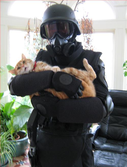 Swat Cat - MyConfinedSpace