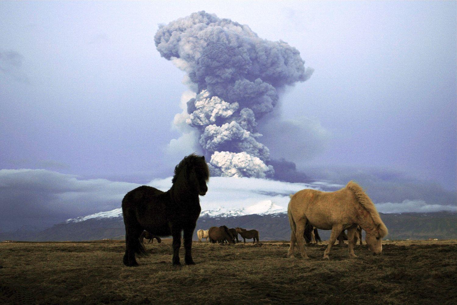 Eruption Horses - MyConfinedSpace