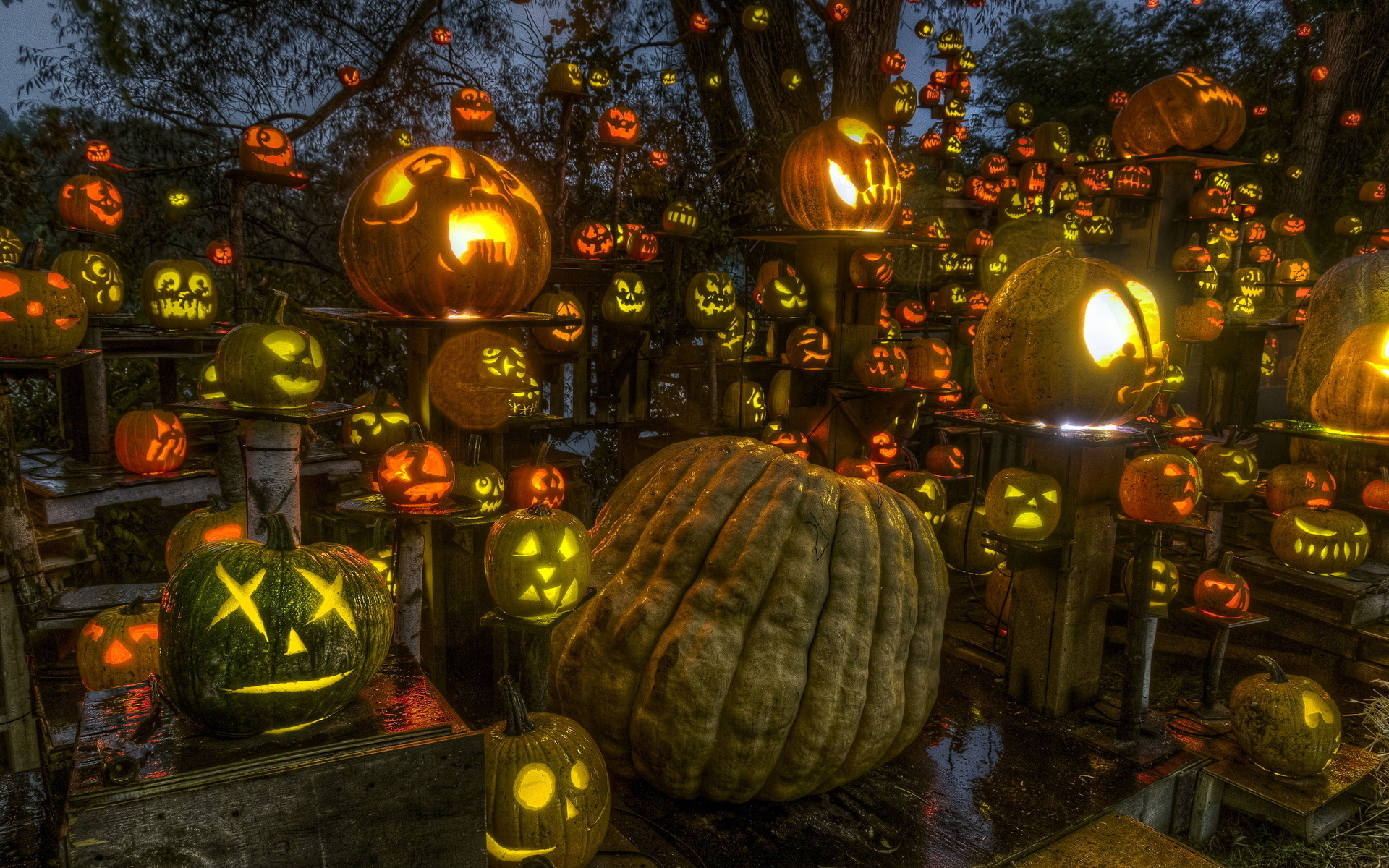 A lot of CGI Pumpkins - MyConfinedSpace