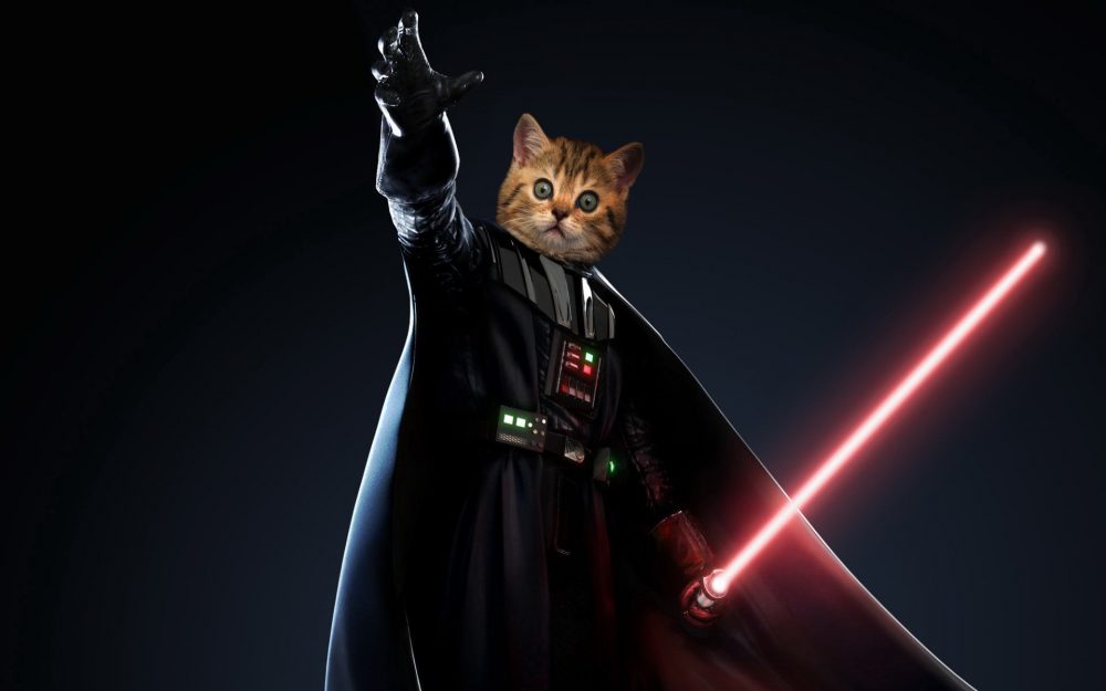 Darth Vader Cat - MyConfinedSpace