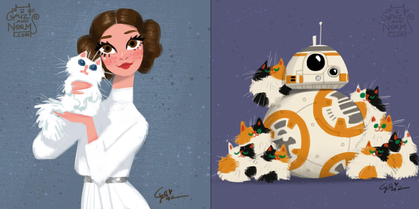 Princess leia and BB8 cats - MyConfinedSpace MyConfinedSpace
