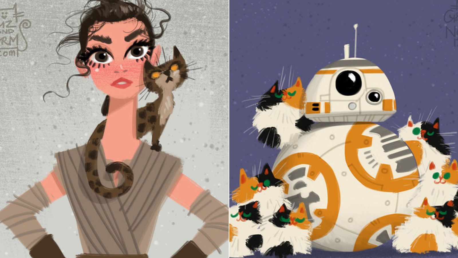 Rey and BB8 cats - MyConfinedSpace