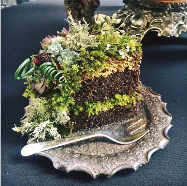 ground cake « MyConfinedSpace