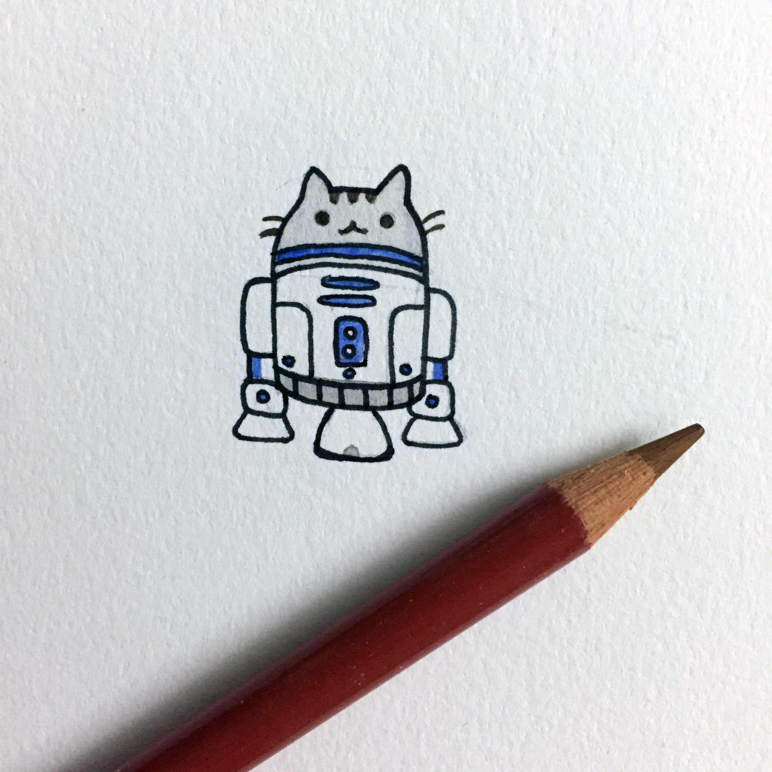 r2-cat2 - MyConfinedSpace