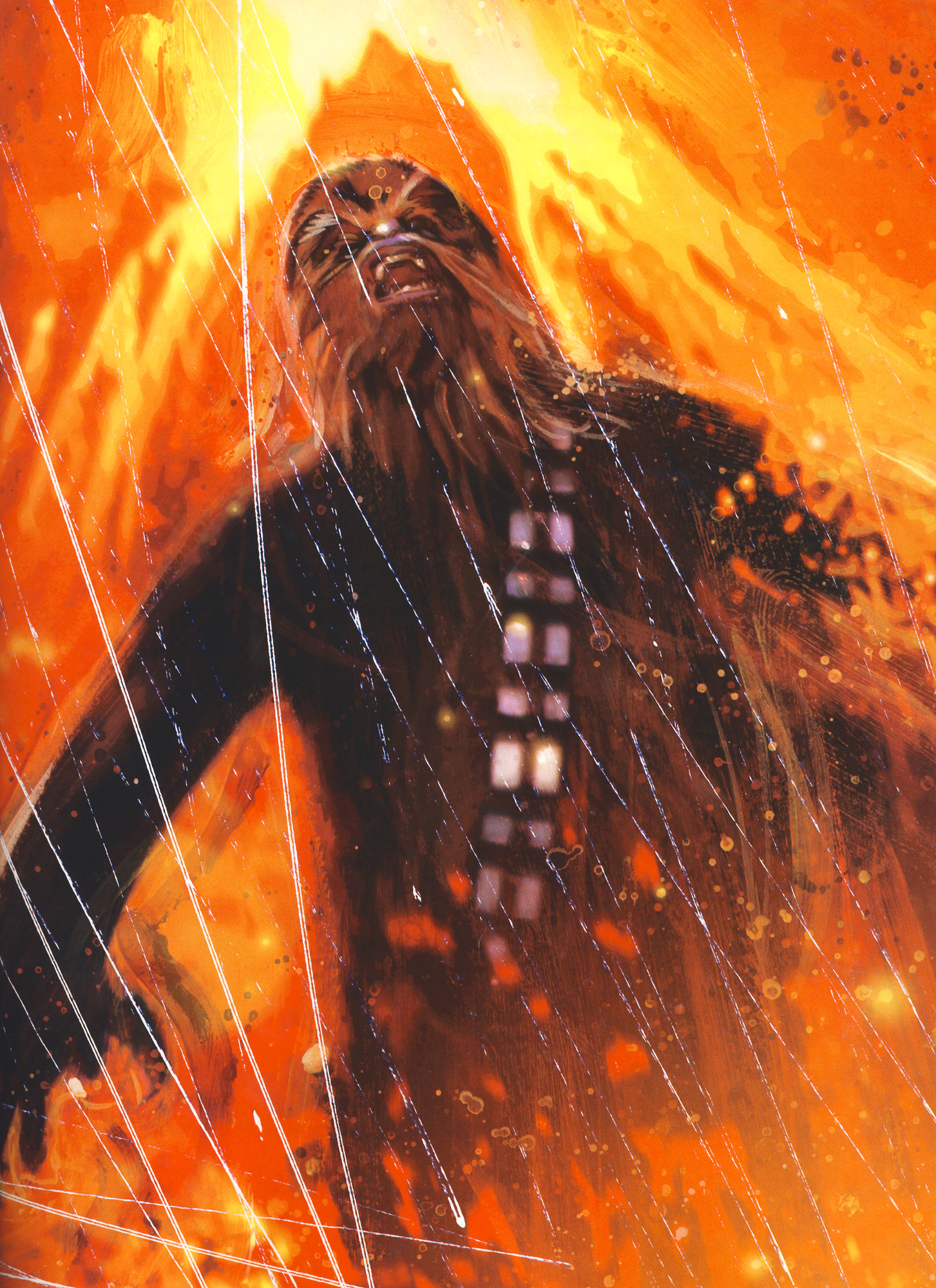 The Death of Chewbacca - MyConfinedSpace