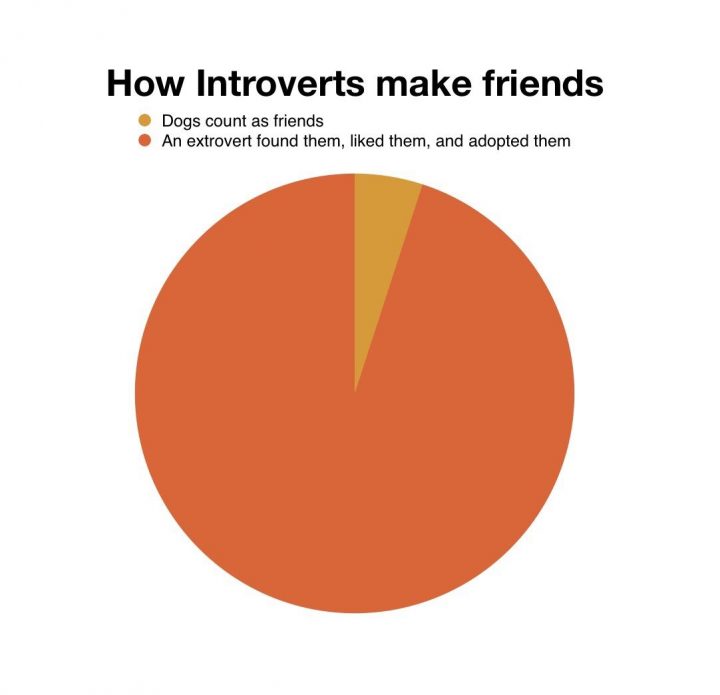 How Introverts Make Friends - MyConfinedSpace