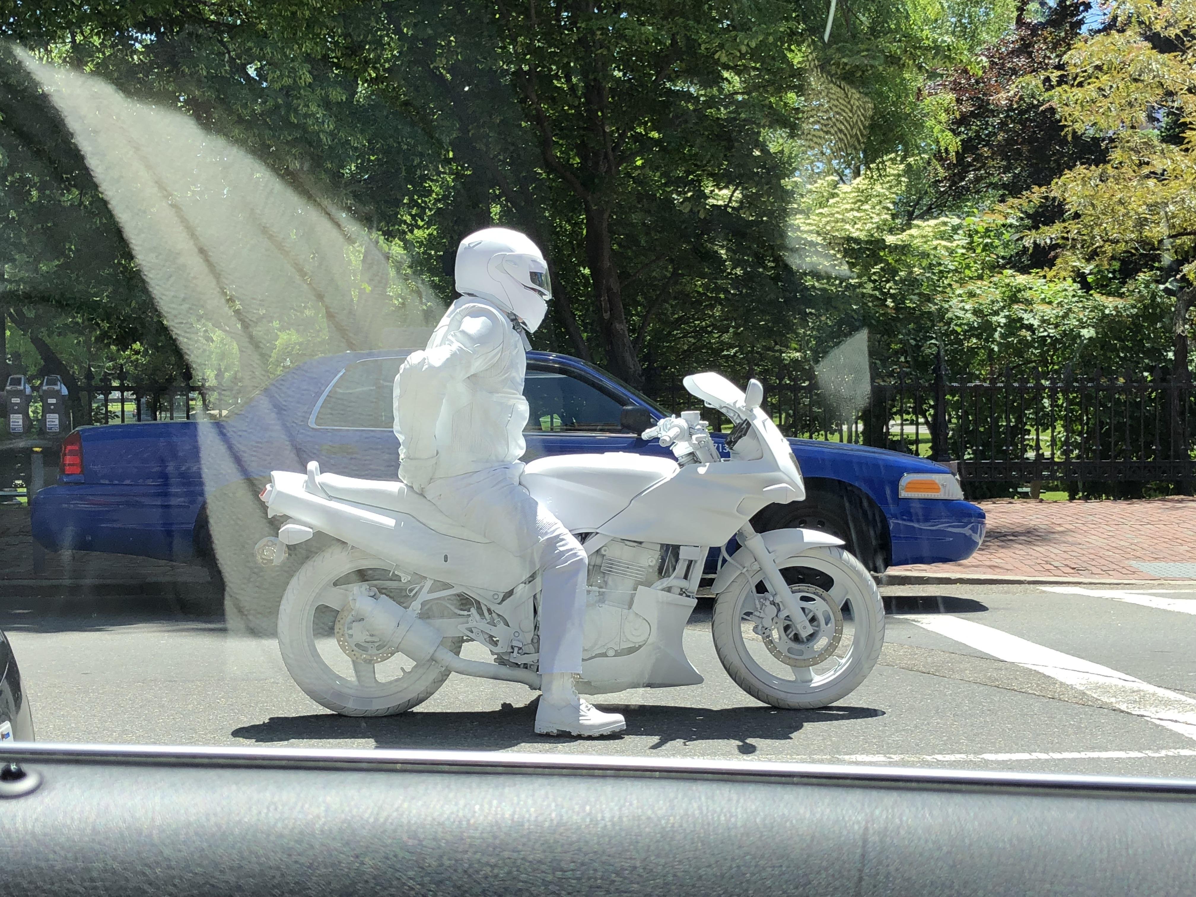 The White Rider - MyConfinedSpace