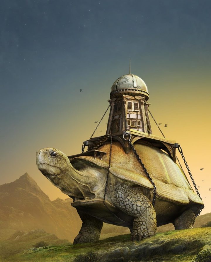 turtle tower - MyConfinedSpace