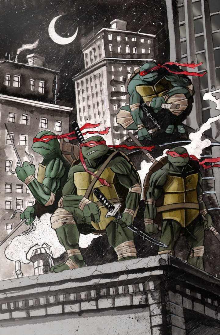 TMNT on a roof - MyConfinedSpace
