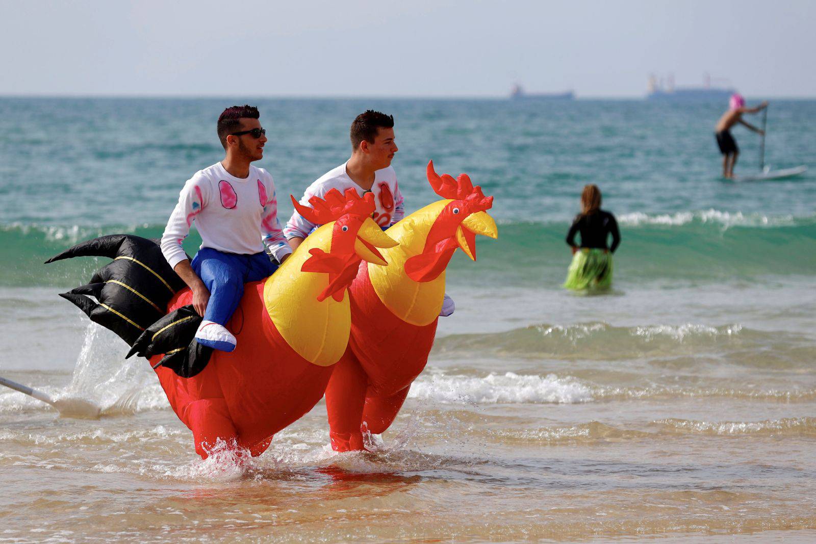 beach chickens - MyConfinedSpace