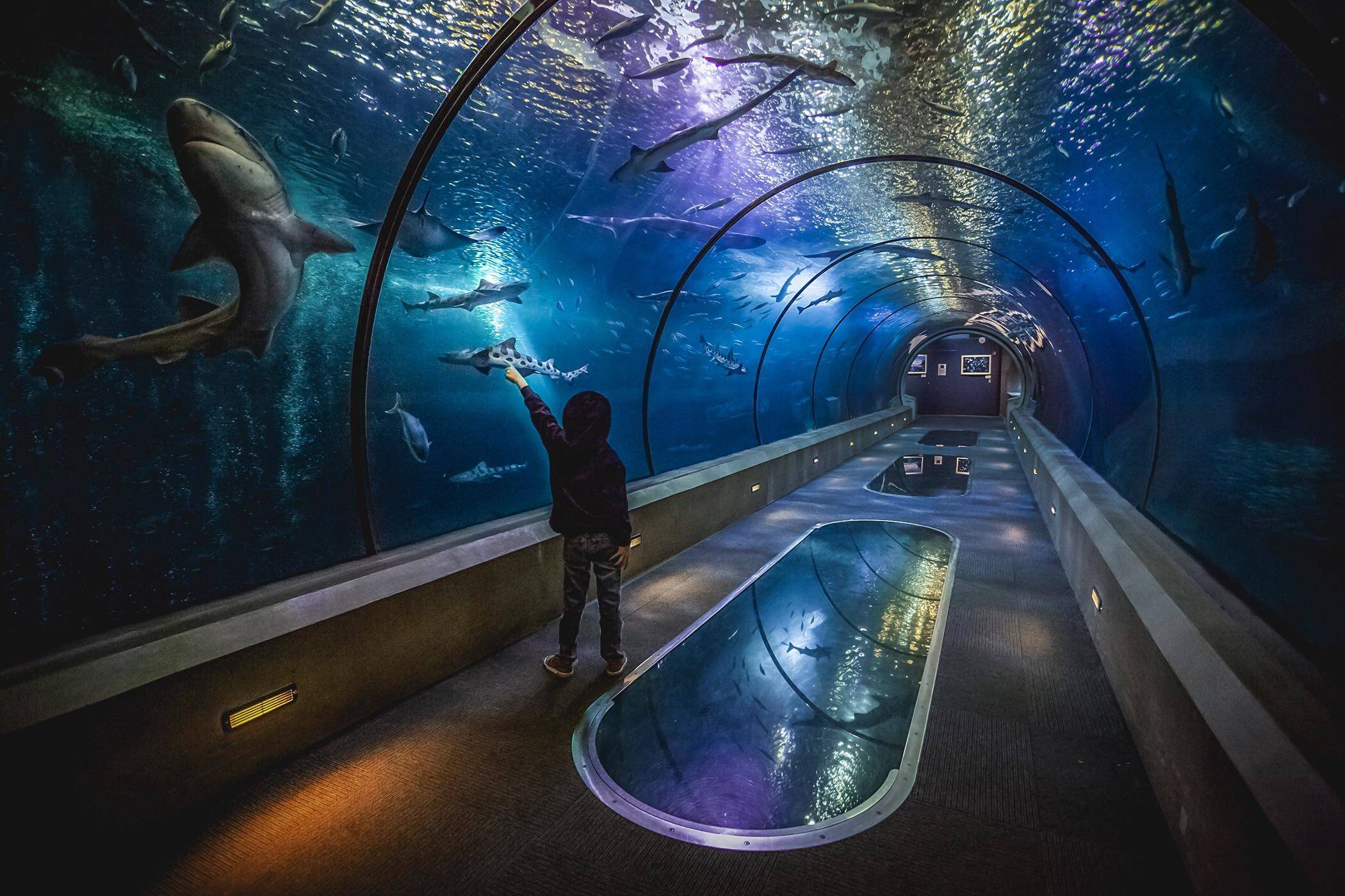 epic tank « MyConfinedSpace