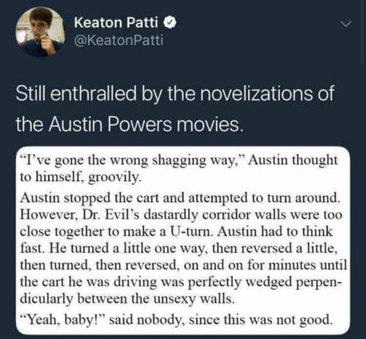 Novelizations of the Austin Powers movies - MyConfinedSpace