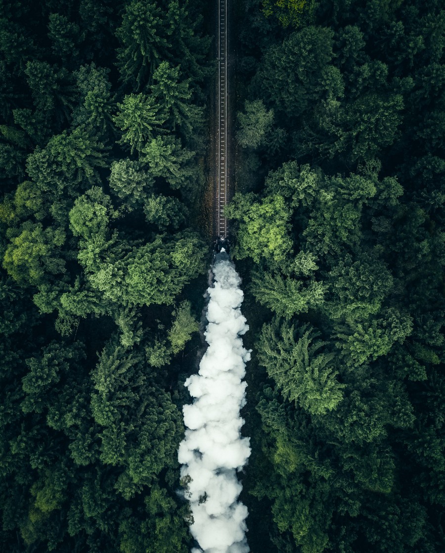 forest steam engine - MyConfinedSpace