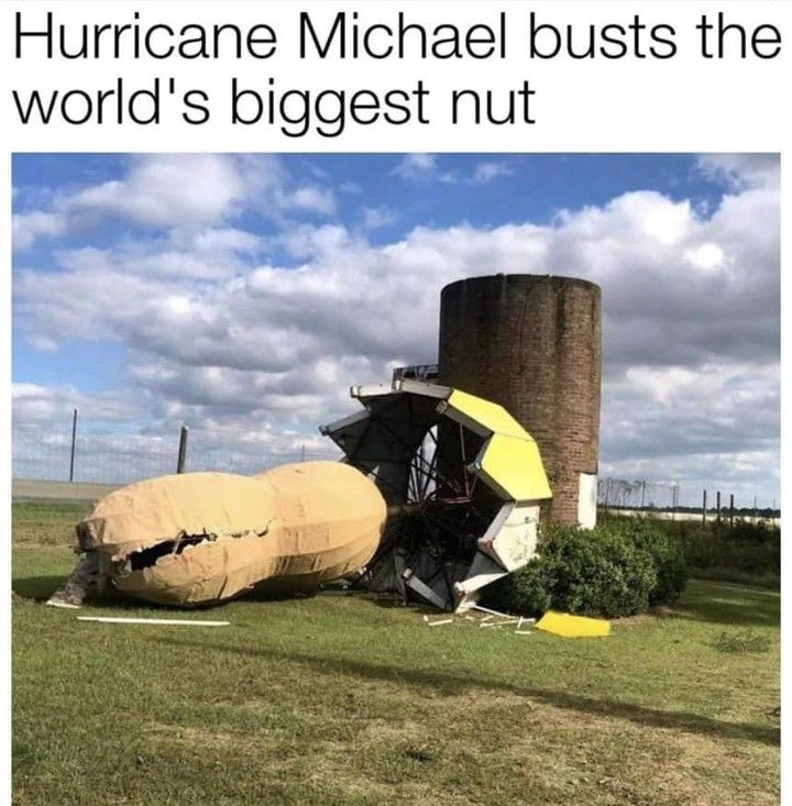 hurricane michael busts the worlds biggest nut - MyConfinedSpace