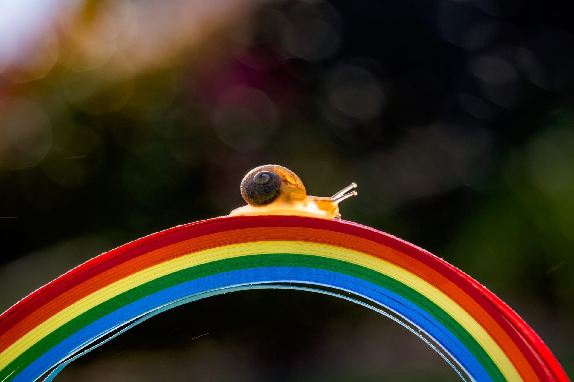 rainbow snail « MyConfinedSpace