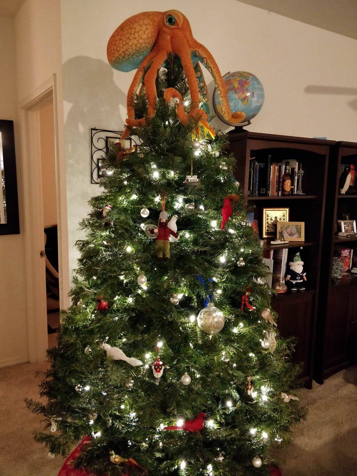 Octopus Tree - MyConfinedSpace