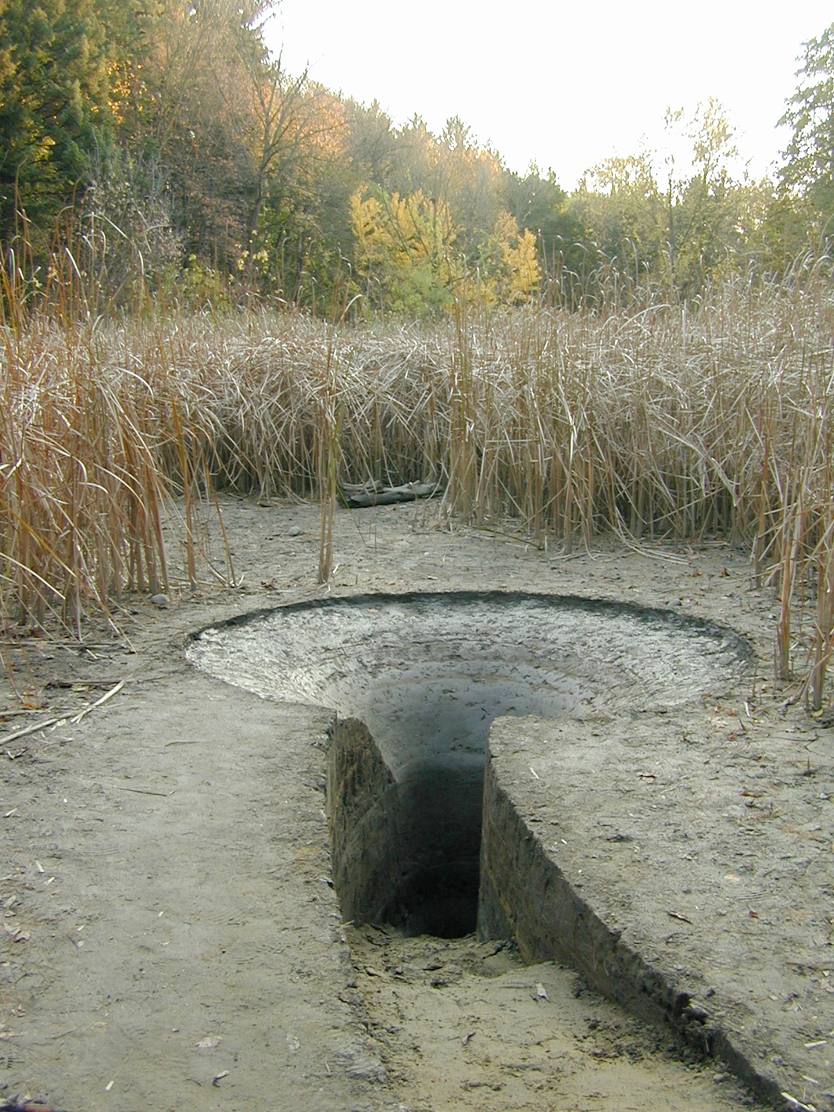 huge sand lion pit - MyConfinedSpace