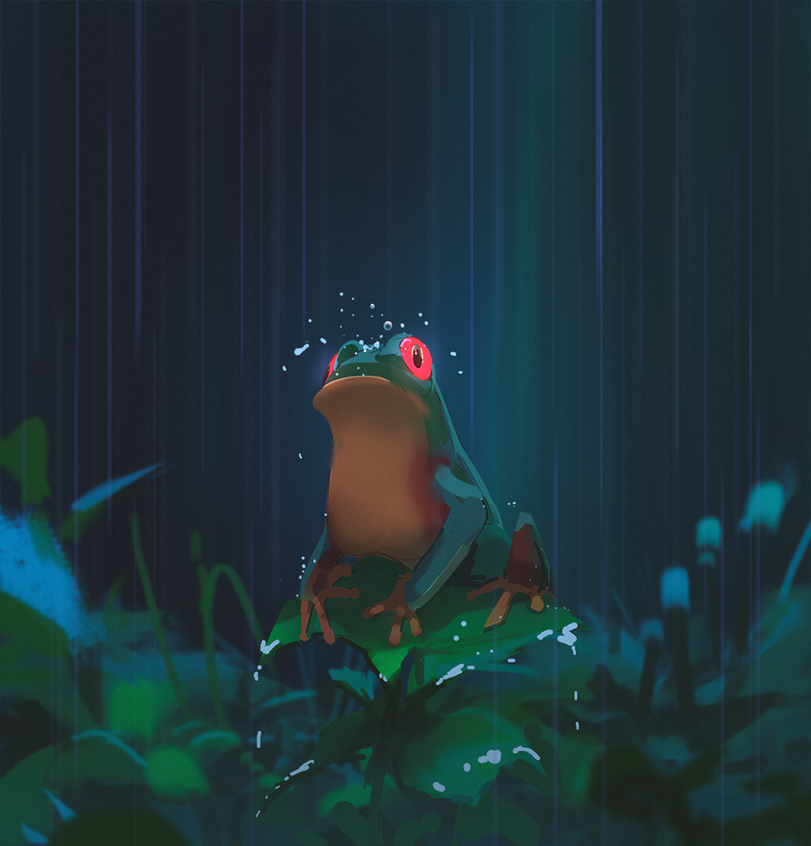 rain frog - MyConfinedSpace