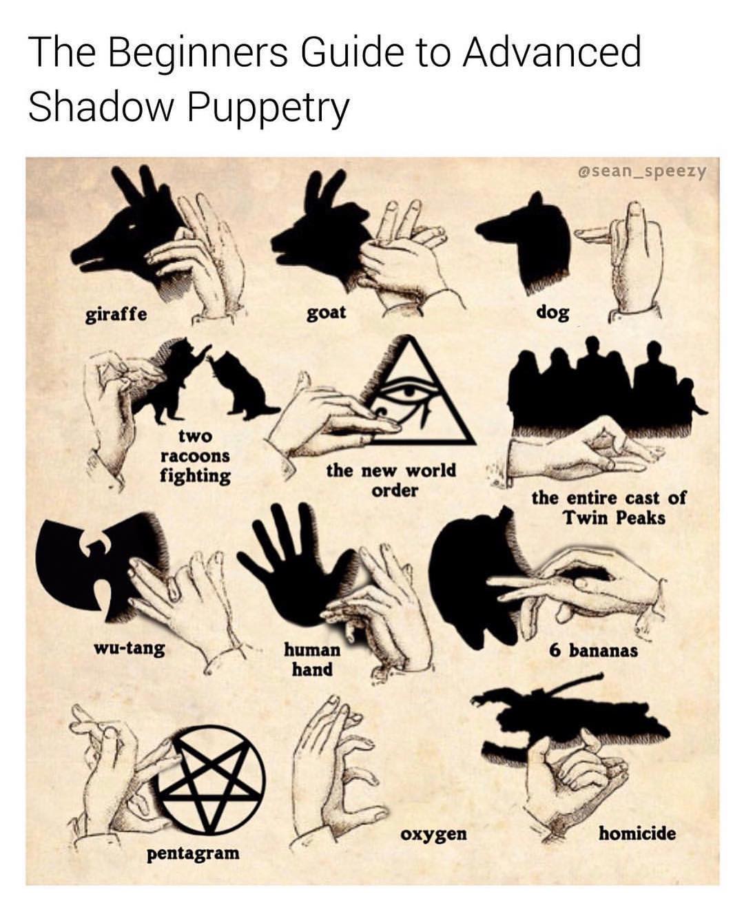 the beginners guide to advanced shadow puppetry - MyConfinedSpace