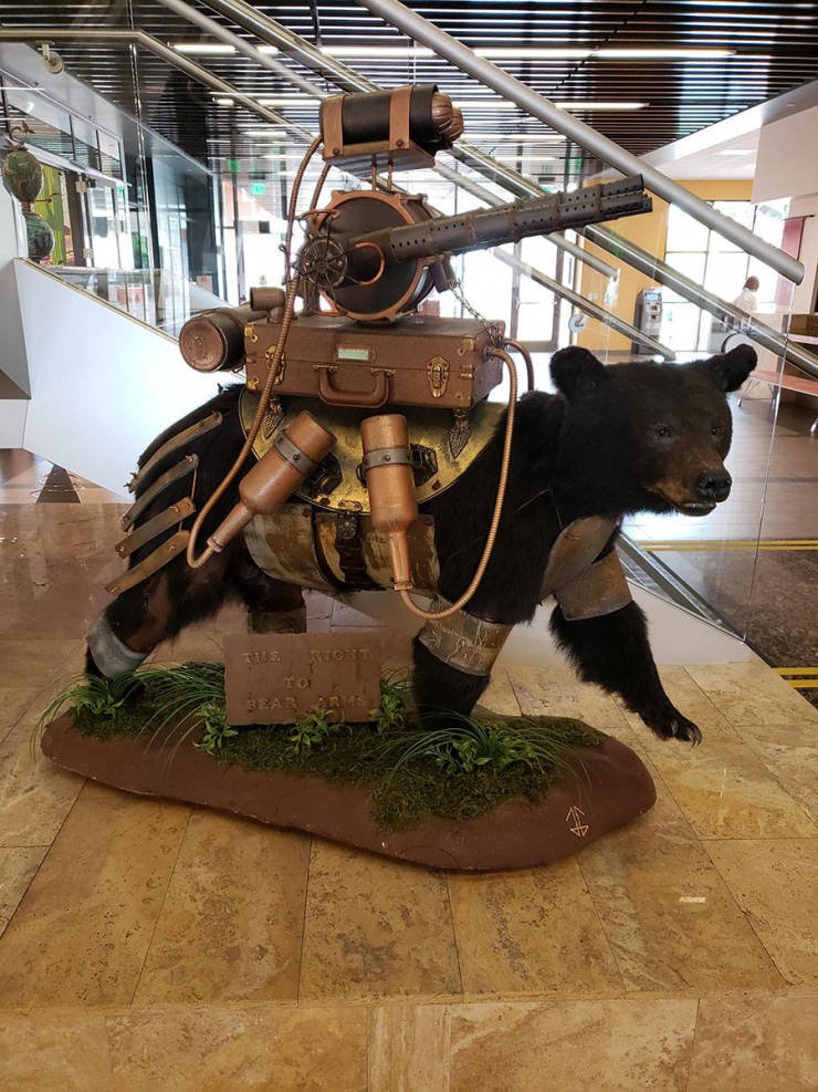 Bear Tank - MyConfinedSpace