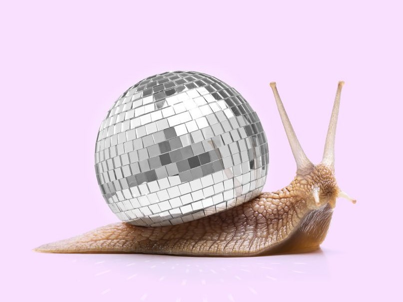 Disco Snail - MyConfinedSpace