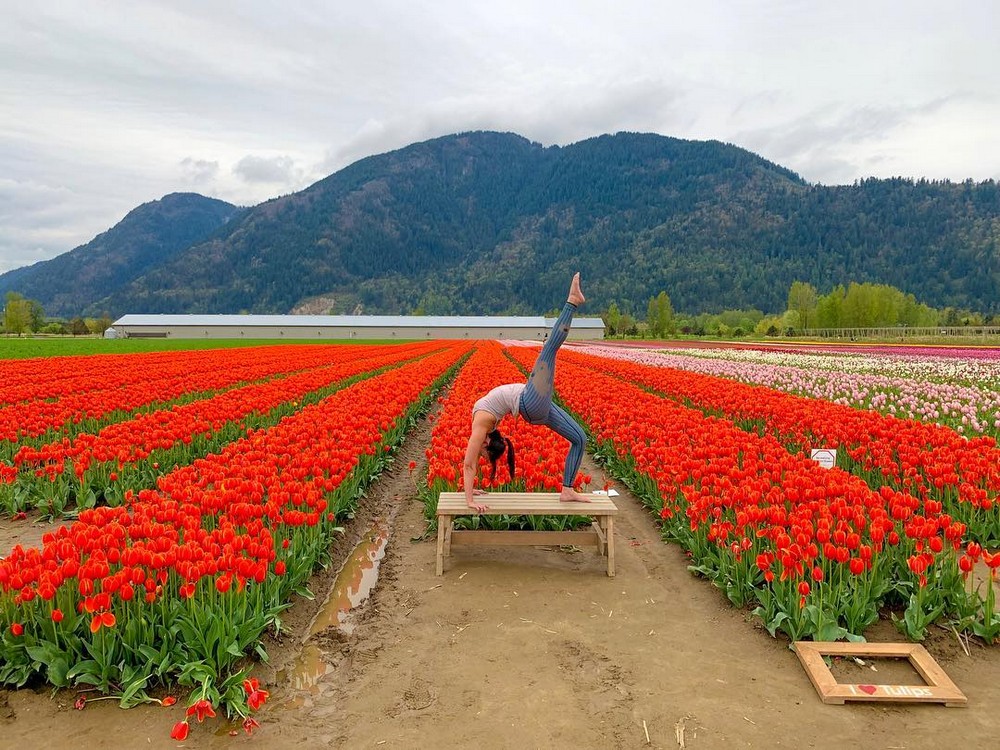 flower dancer - MyConfinedSpace
