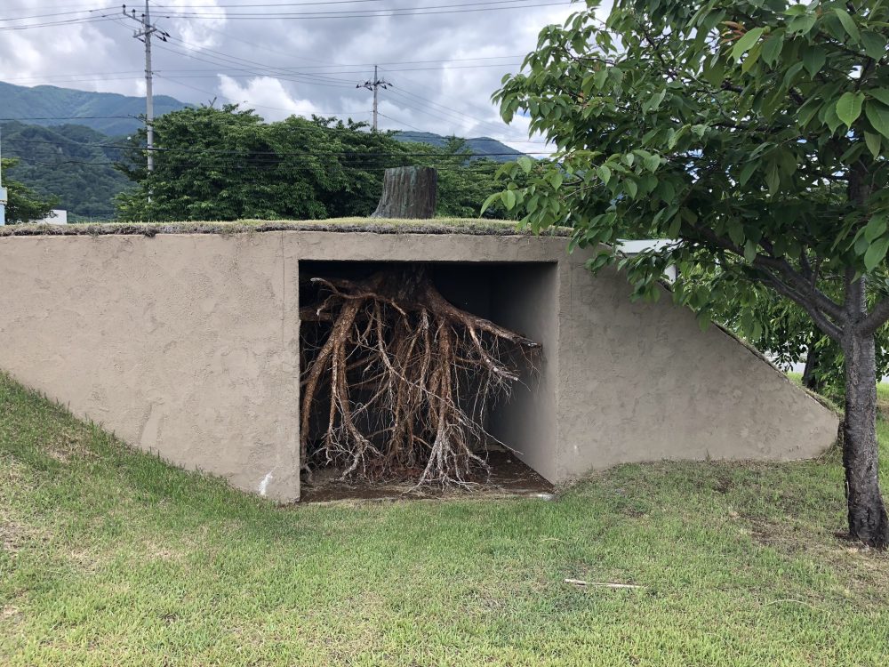 Root Display - MyConfinedSpace