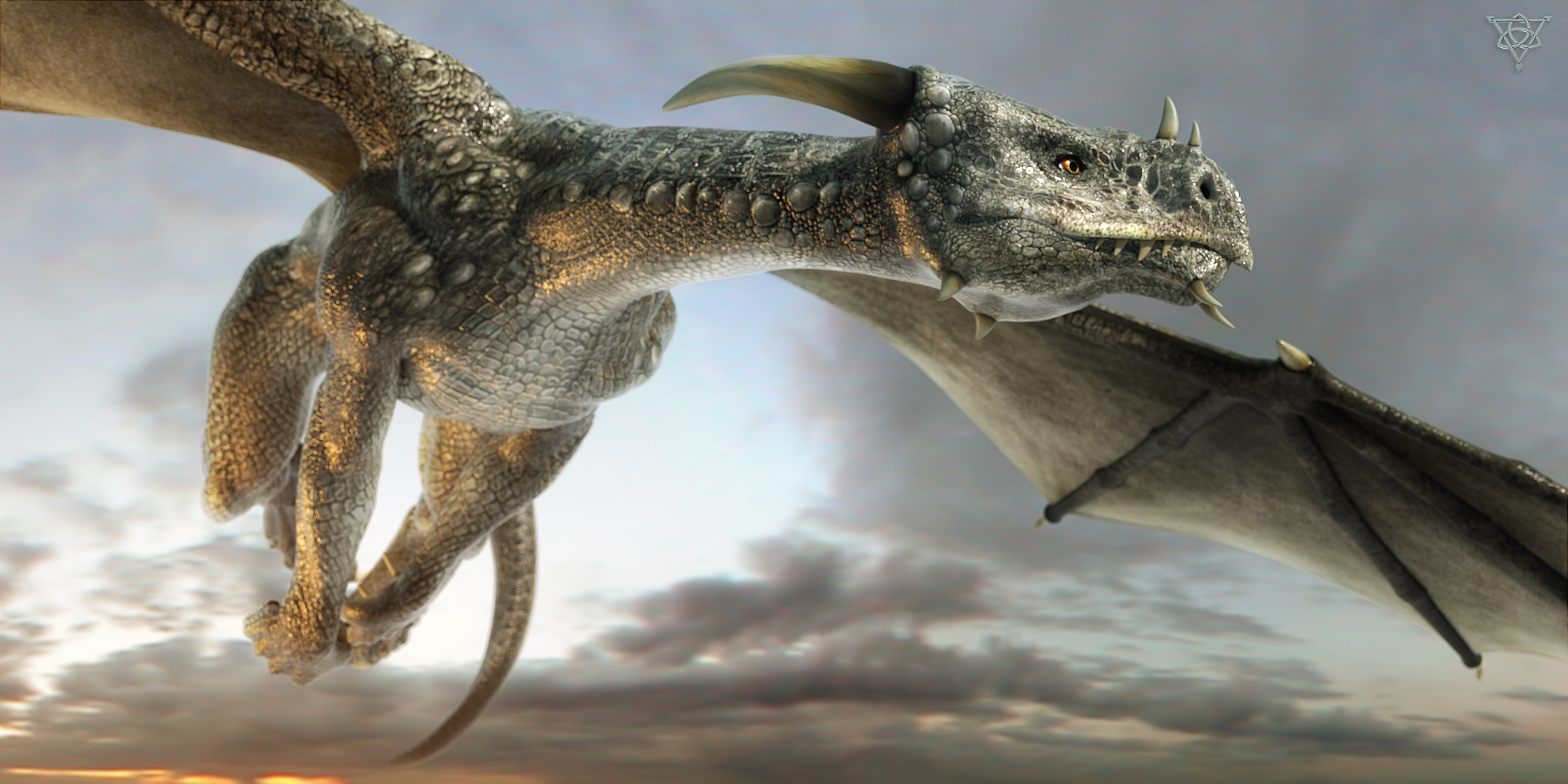 dragon search - MyConfinedSpace