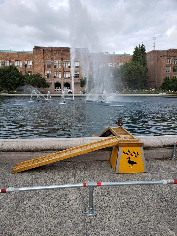 duck bridge - MyConfinedSpace