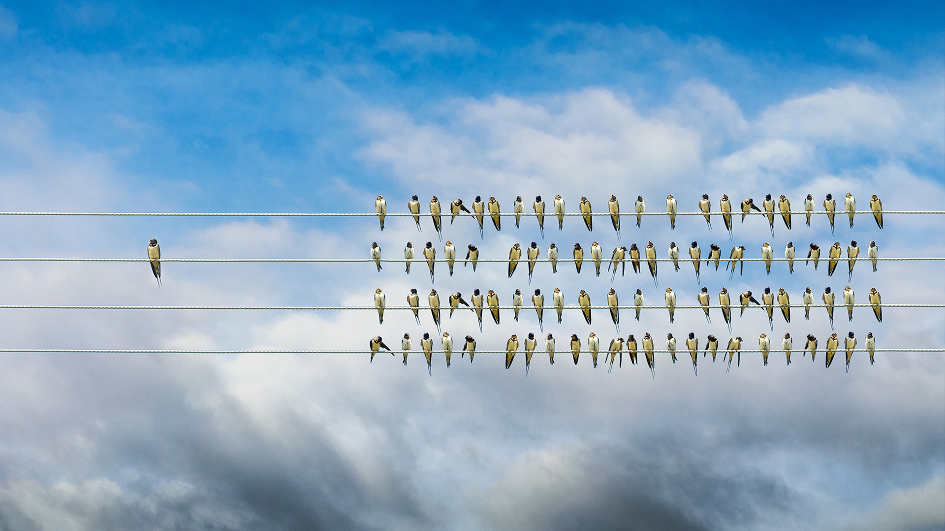 stand apart - MyConfinedSpace