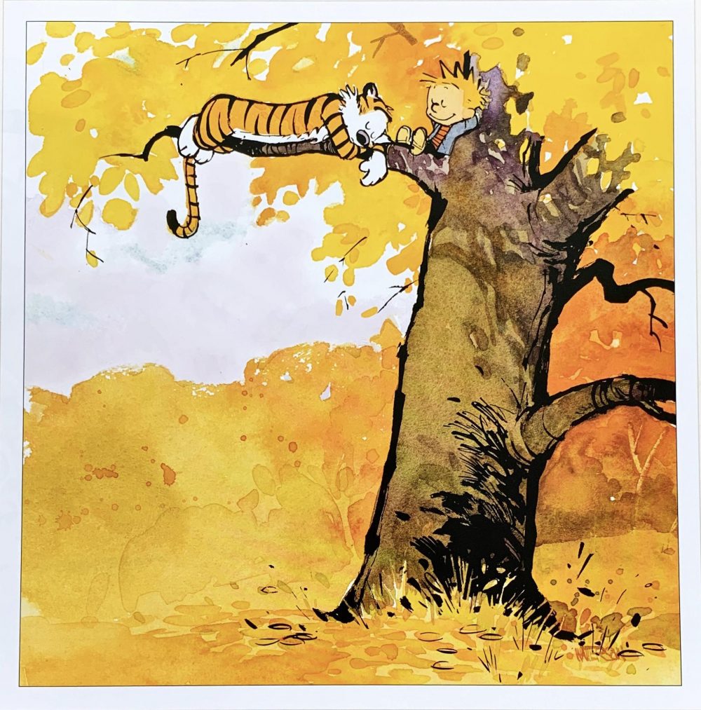 calvin and hobbes in a tree - MyConfinedSpace