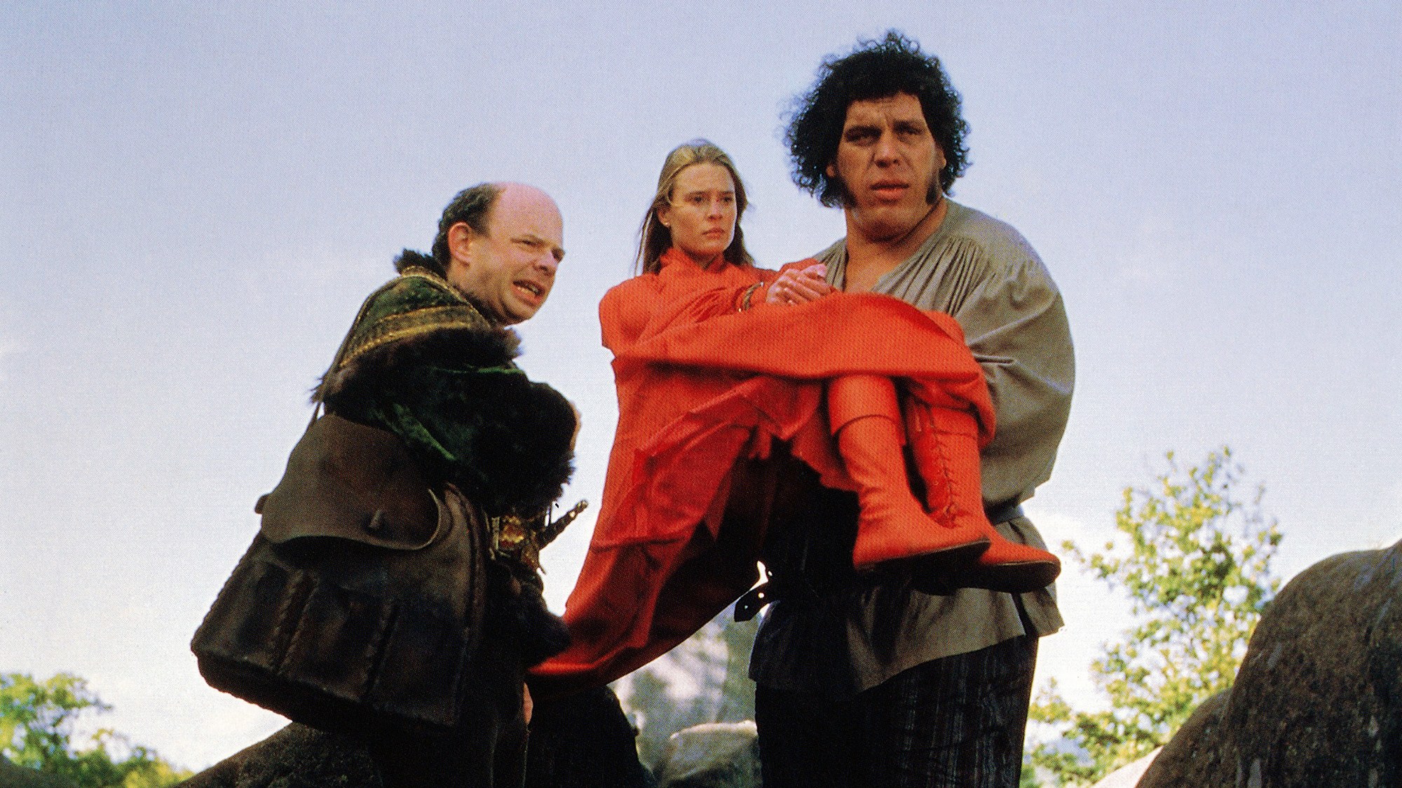 The World Unites on One Thing No One Wants a Princess Bride Remake ...