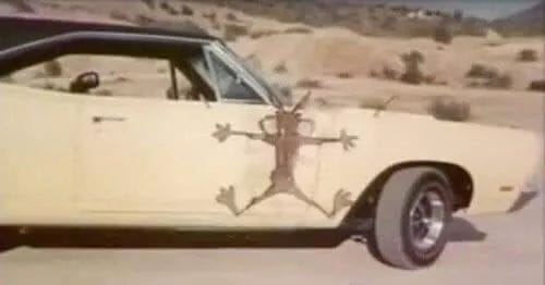ROAD RUNNER - MyConfinedSpace