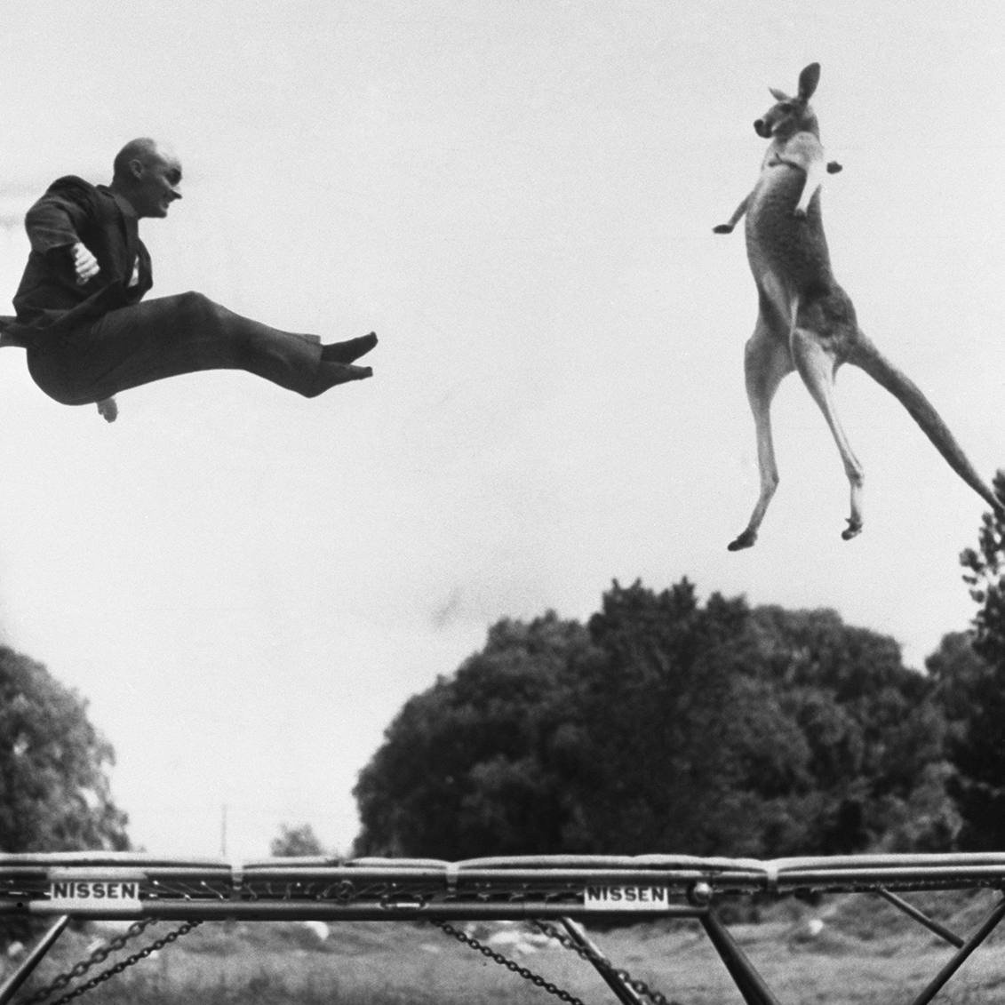 kanga jump - MyConfinedSpace