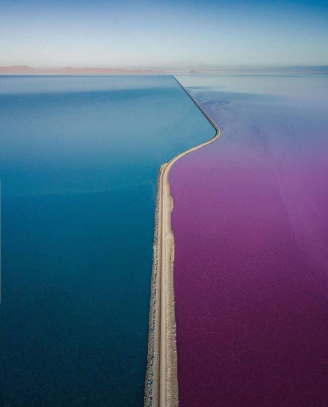 purple sea - MyConfinedSpace