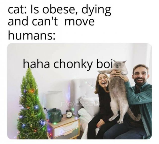 haha chonky boi - MyConfinedSpace