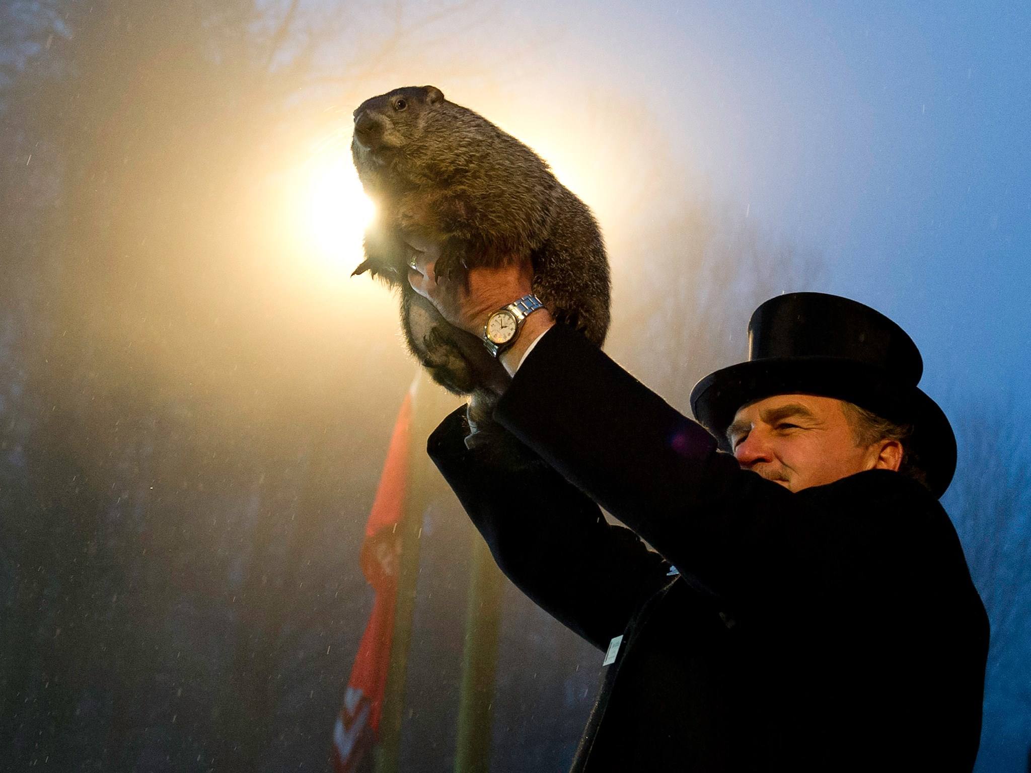 Groundhog Day In The Sun - MyConfinedSpace