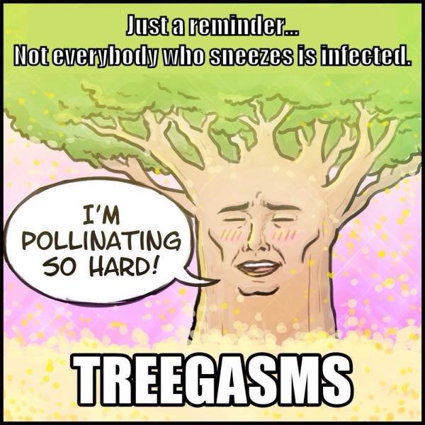I’m pollinating so hard - MyConfinedSpace
