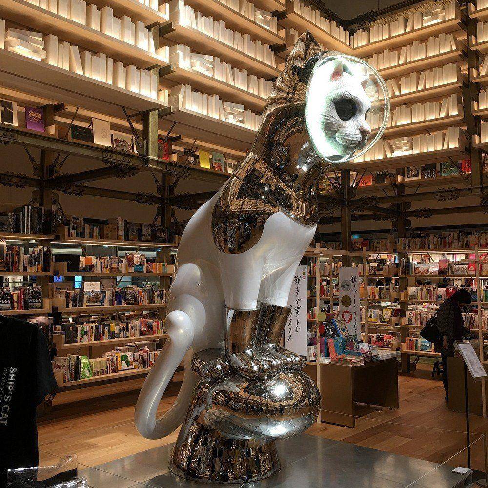 space cat statue - MyConfinedSpace