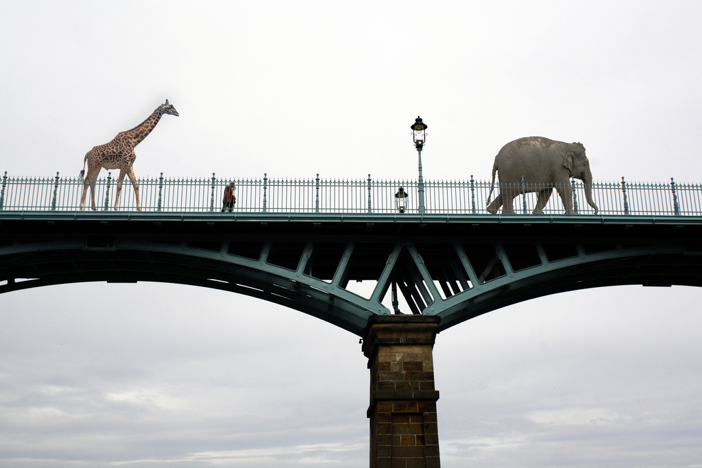 elephant bridge - MyConfinedSpace