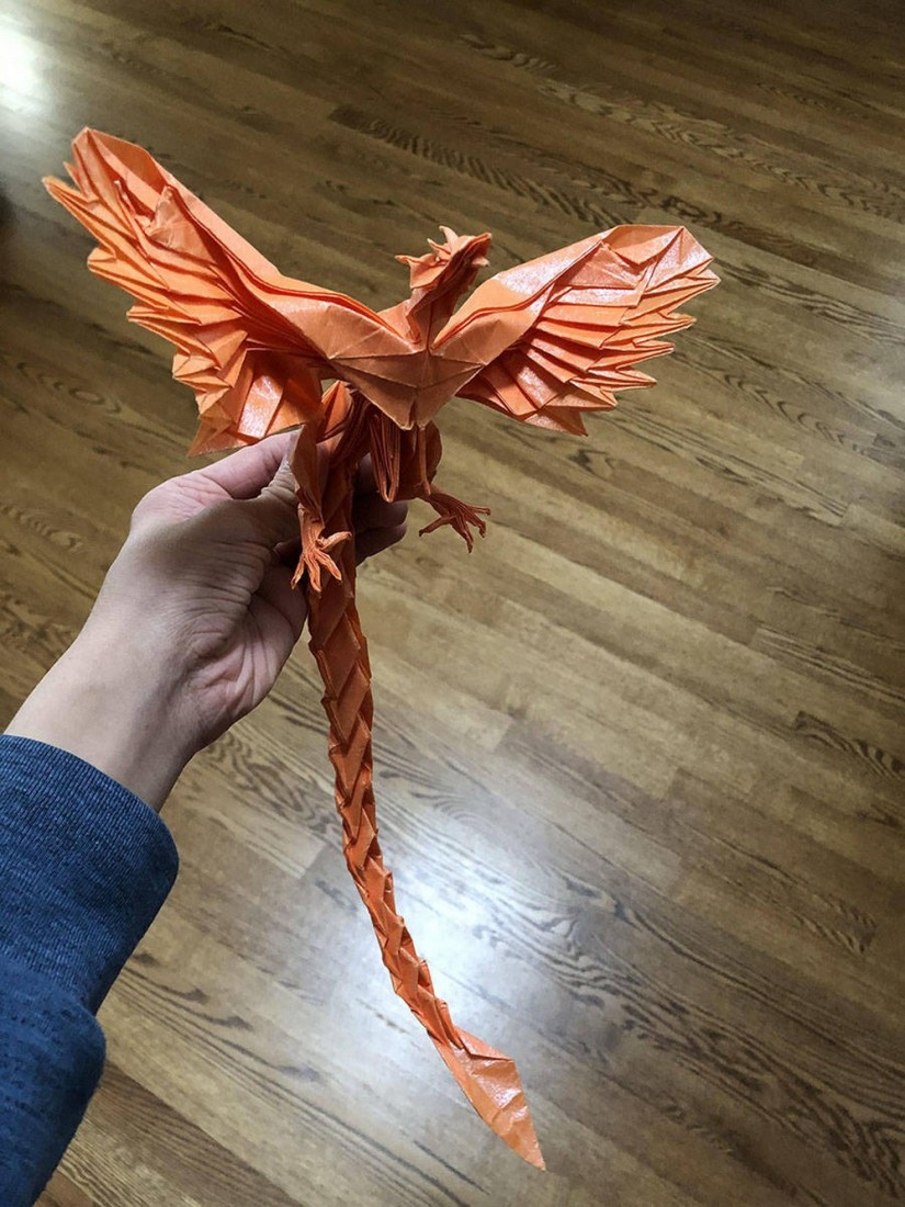 dragon folder - MyConfinedSpace