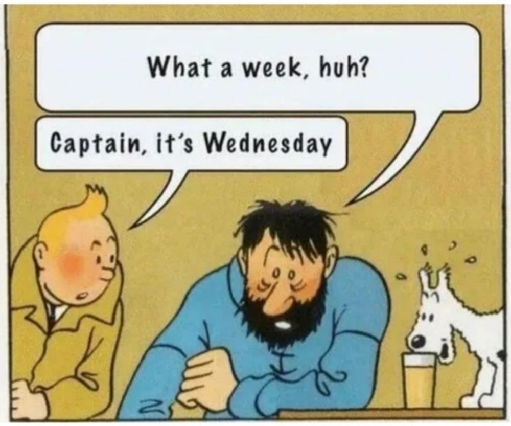 what a week huh - MyConfinedSpace